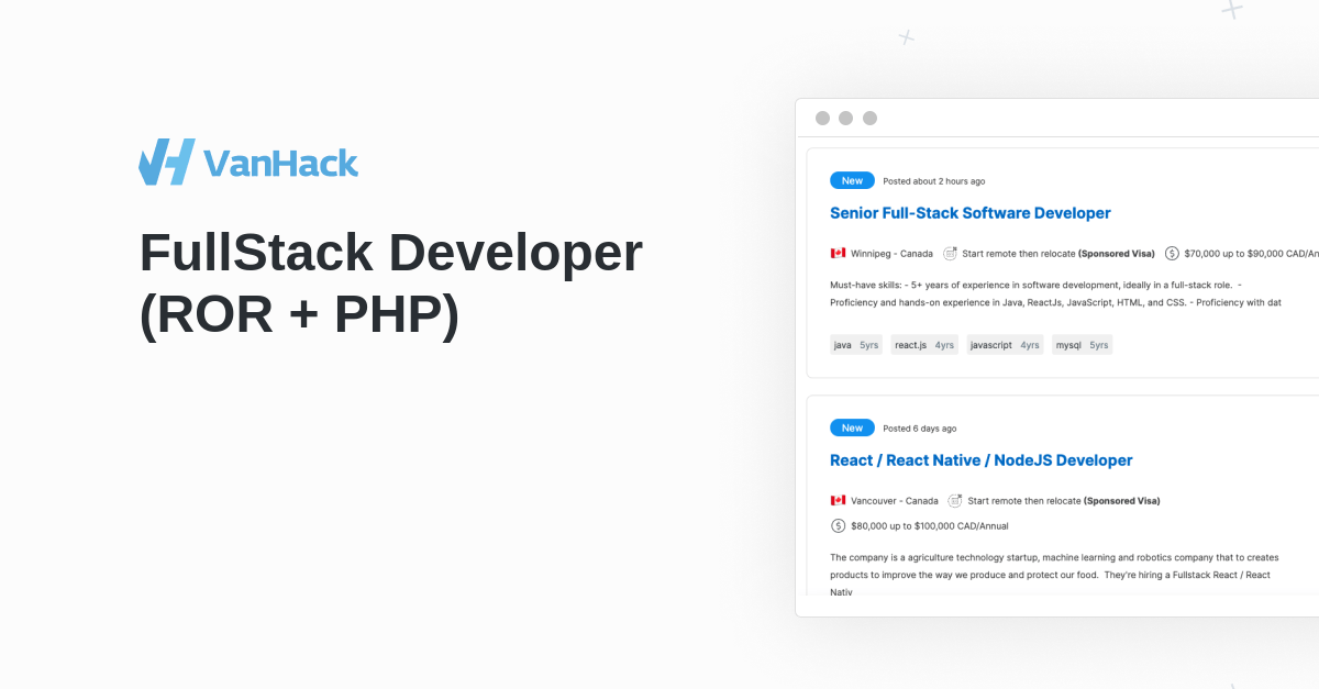 Software Developer Ror Vanhack - Geometric Illustration Collection - 4K Quality